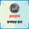 블루엠텍 공모주 청약일정 기업정보 증권사 알아보기 네이버 블로그
